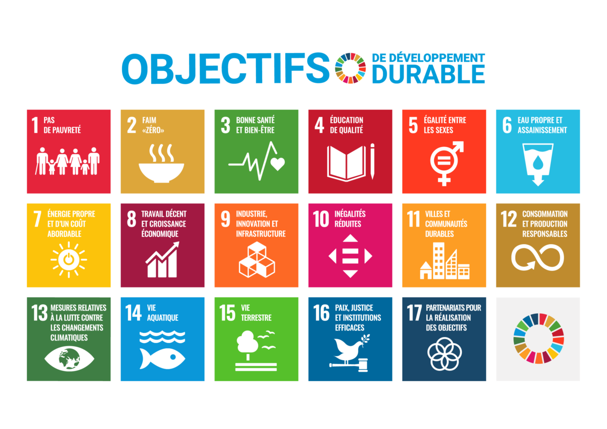 Les 17 Objectifs de Développement Durable - Cap2030